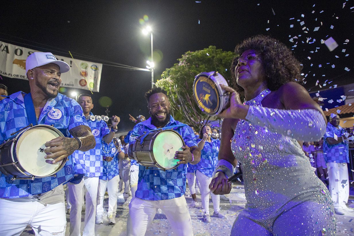 Galeria Desfile Dia Nacional do Samba - Carnaval