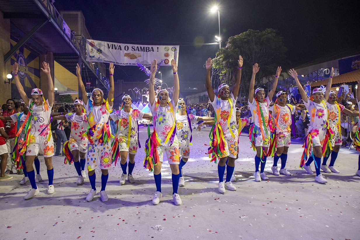 Galeria Desfile Dia Nacional do Samba - Carnaval