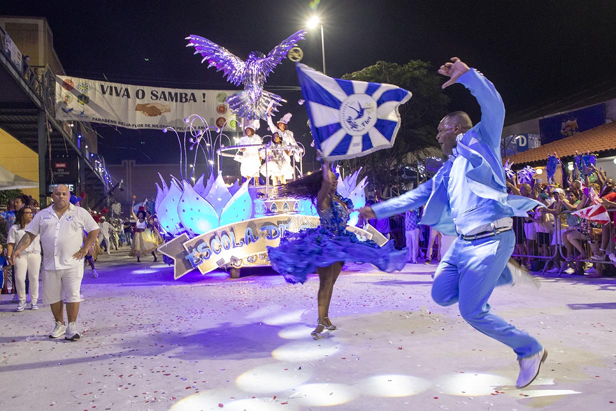 Galeria Desfile Dia Nacional do Samba - Carnaval